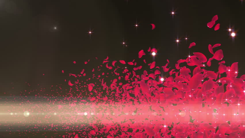 rose flower petals lens flares 30 Stock Footage Video (100% Royalty ...