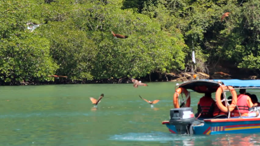 Berash basah island Stock Video Footage - 4K and HD Video Clips ...