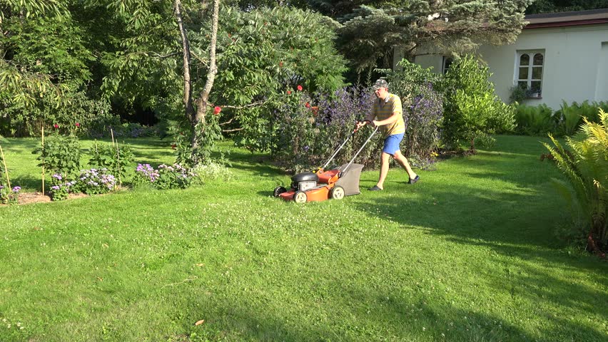 Male Landscaper Man Mowing Lawn Stock Footage Video (100% Royalty-free ...