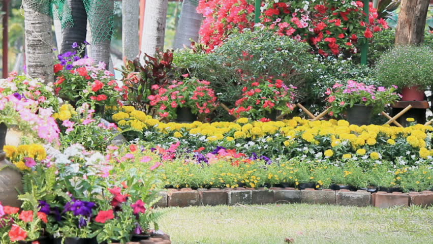 Landscaped Flower Garden with Lots Stock Footage Video (100% Royalty ...