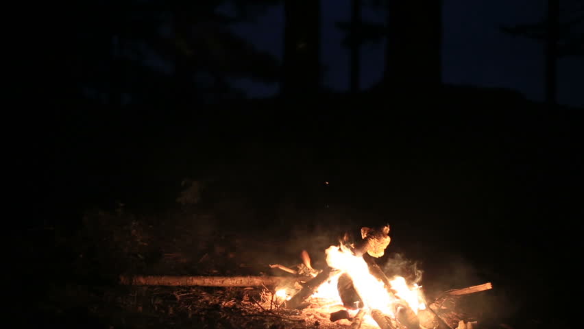 night bonfire woods Stock Footage Video (100% Royalty-free) 18227821 ...
