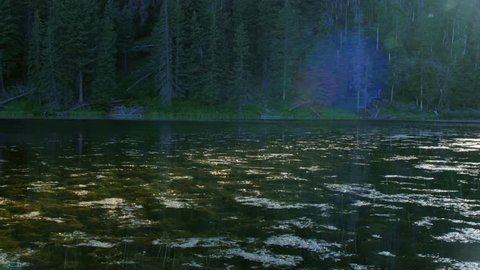 Beautiful Summer Waterscape Calm Water Surface Stock Footage Video (100 ...