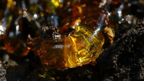 Yellow Cherry Resin Macro Close View Stock Footage Video (100% Royalty ...