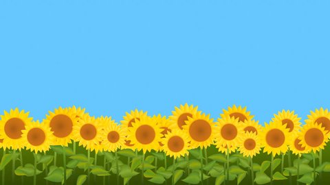 Looping 3d Animation Bright Happy Sunflowers Stock Footage Video (100% ...