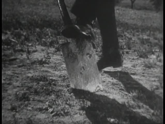 Worker Trying to Dig Through Stock Footage Video (100% Royalty-free ...