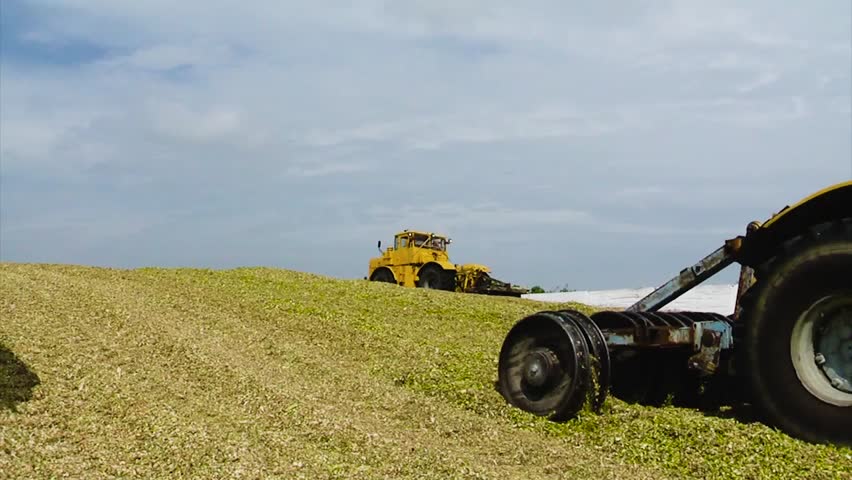 five yellow tractors tamp silage silo Stock Footage Video (100% Royalty ...