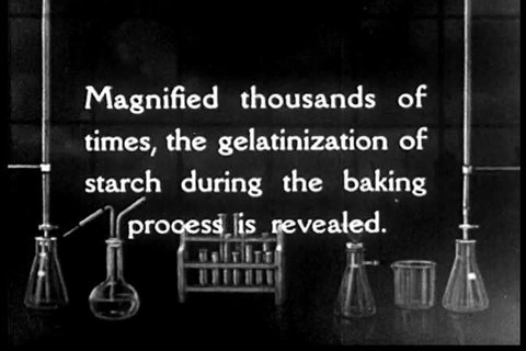Gelatinization Starch Occurs Under Microscope During Stock Footage ...