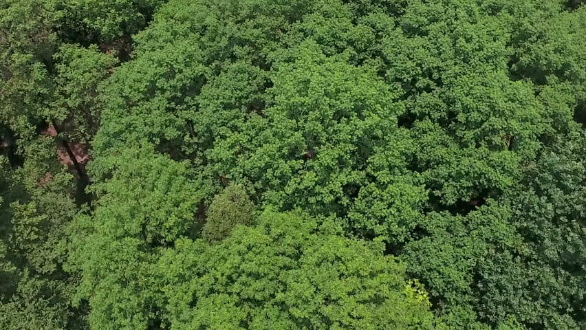 Aerial Drone Shot Over the Stock Footage Video (100% Royalty-free ...