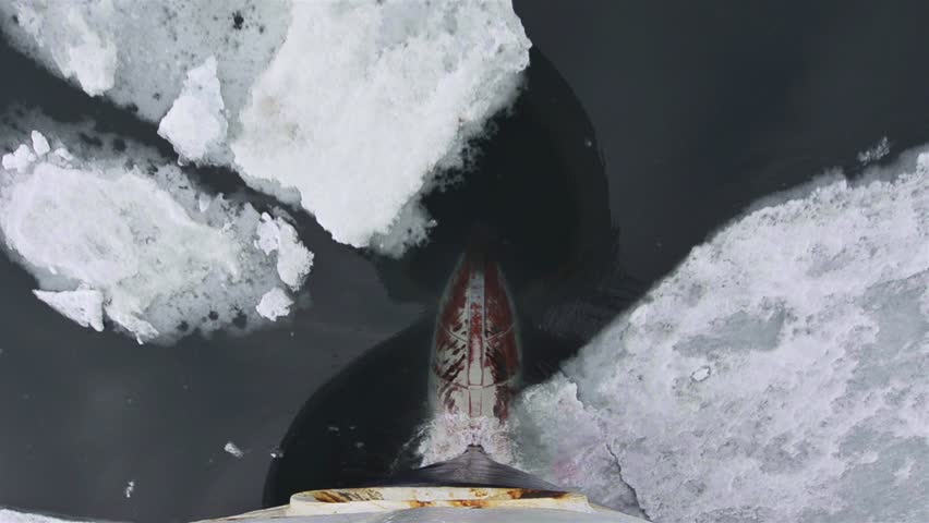 Ships Bow Breaking Sea Ice Stock Footage Video (100% Royalty-free ...