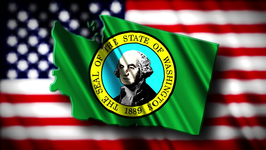 George Washington United States Flag