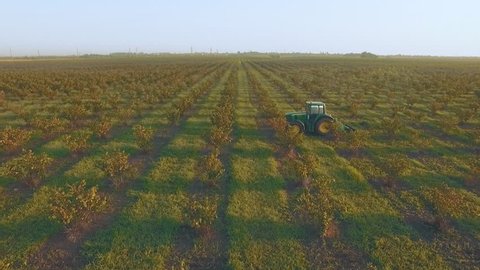 Tractor Work Land On Plantation Hazelnut Stock Footage Video (100% ...