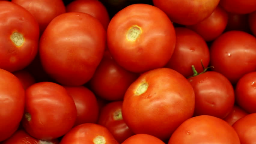 Fresh Tomatoes On Display at Stock Footage Video (100% Royalty-free ...