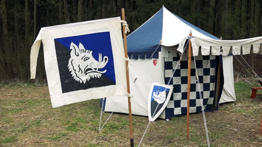 Checkered flag shield Stock Video Footage - 4K and HD Video Clips ...