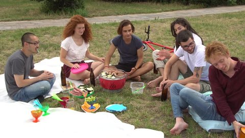 Playing Music Singing Having Fun Picnic Stock Footage Video (100% ...