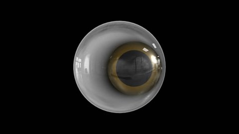 Realistic Eye Animation Seamless Loop Stock Footage Video (100% Royalty ...