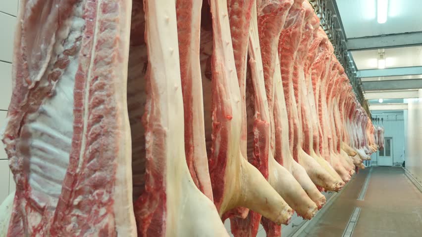 pork carcasses hanging on hooks meat Stock Footage Video (100% Royalty ...