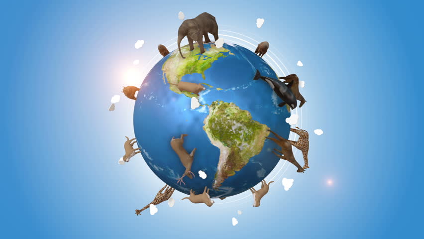 orbiting earth covered by wild animals Stock Footage Video (100% ...
