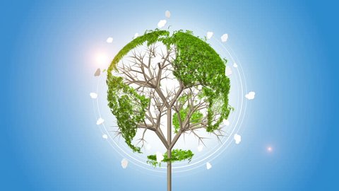 rotating globe shaped tree environmental concept Stock Footage Video ...