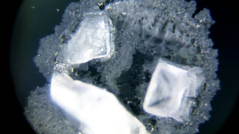 Crystals Forming Under Microscope Timelapse Stock Footage Video (100% ...