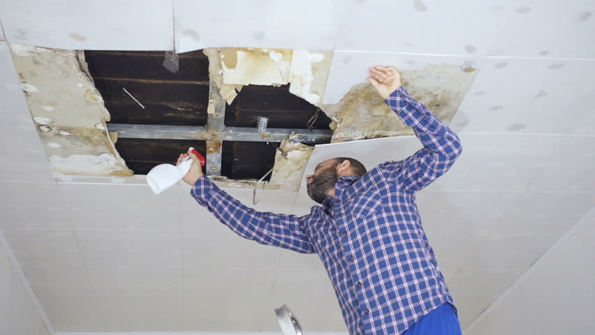 Man Cleaning Mold On Ceiling.ceiling Stock Footage Video (100% Royalty ...