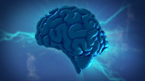 Digital Motion Graphic Human Brain Stock Footage Video 100 Royalty