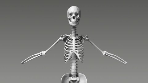 Human Skeletal Raising Lowering Arms Visible Stock Footage Video (100% ...