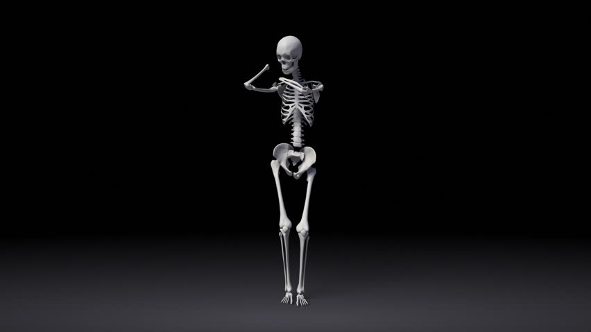 stretching exercising human skeletal system skeleton: วิดีโอสต็อก (ปลอด ...