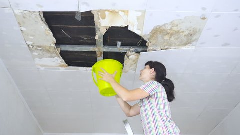 Young Woman Collecting Water Bucket Ceiling Stock Footage Video (100% ...