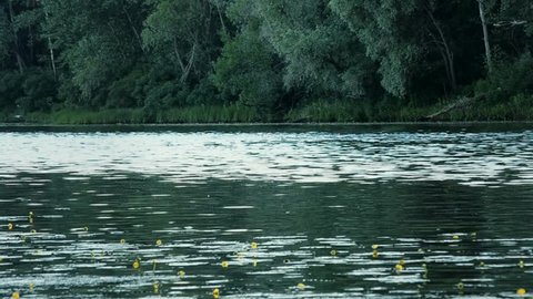 Beautiful Summer Waterscape Calm Water Surface Stock Footage Video (100 ...