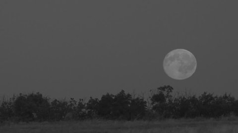 La luna redonda se eleva rápidamente: video de stock (totalmente libre ...