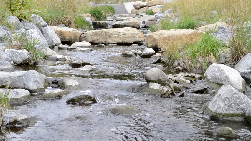 Fresh Water Brook. Running Water Stock Footage Video (100% Royalty-free ...