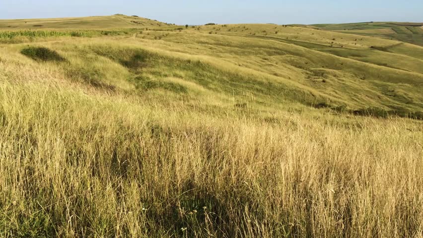 Prairie Grass Stock Footage Video 100 Royalty Free 19323223 Shutterstock