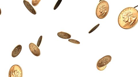 Scientific Illustration Species Edible Shells Mediterranean Stock ...