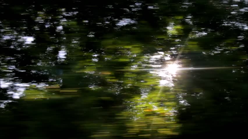 driving past trees evening - moving Stock Footage Video (100% Royalty ...