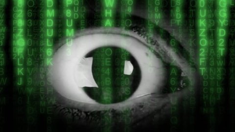 Big Eye Woman Looking Camera Scared Stock Footage Video (100% Royalty ...