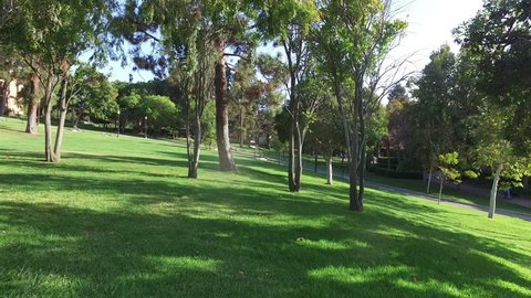 Smooth Movement Camera Along Road Park Stock Footage Video (100% ...