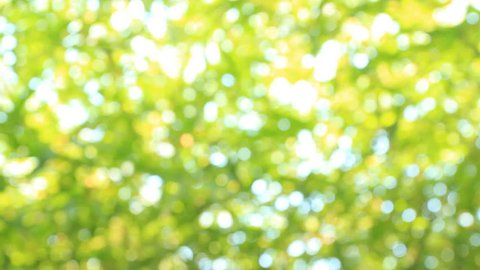 Natural Green Background Selective Focus Stock Photo 124638994 ...