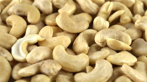 Hazelnut Almond Walnut Peanut Coconut Pecan Stock Vector (Royalty Free ...