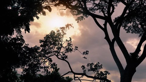 Jesus Christ Crucifixion Silhouette Stock Photo 146455097 | Shutterstock