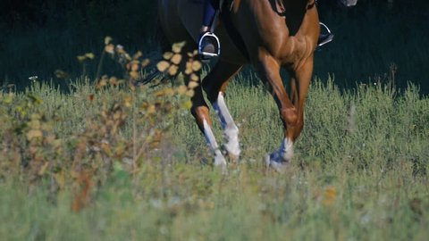 Legs Galloping Horse Approaches Slow Motion Stock Footage Video (100% ...