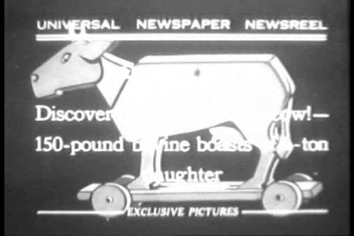 4 Smallest cattle Stock Video Footage - 4K and HD Video Clips ...