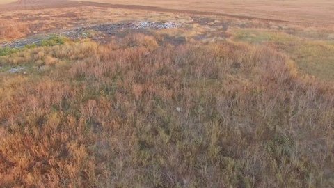 Field Littered Garbage Stock Footage Video (100% Royalty-free) 19454296 ...