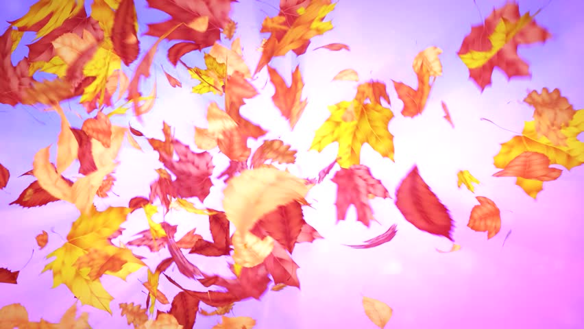 Autumn Leaves Swirling in the Stock Footage Video (100% Royalty-free ...