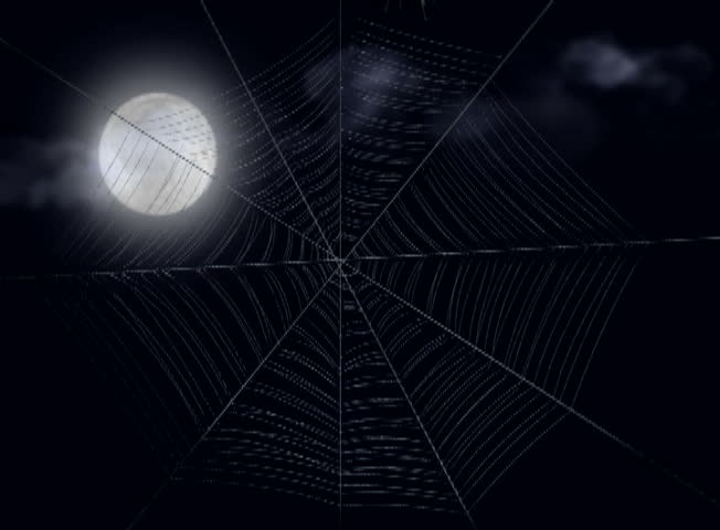 Spider in a Web with Stock Footage Video (100% Royalty-free) 1965334 ...