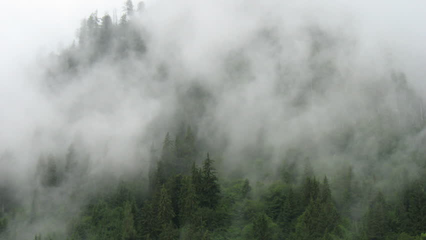 time lapse moving fog over forest Stock Footage Video (100% Royalty ...