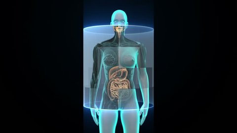 Zooming Female Human Body Scanning Internal Stock Footage Video (100% ...