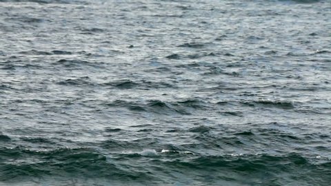 Sea Surface Stock Footage Video (100% Royalty-free) 1973254 | Shutterstock