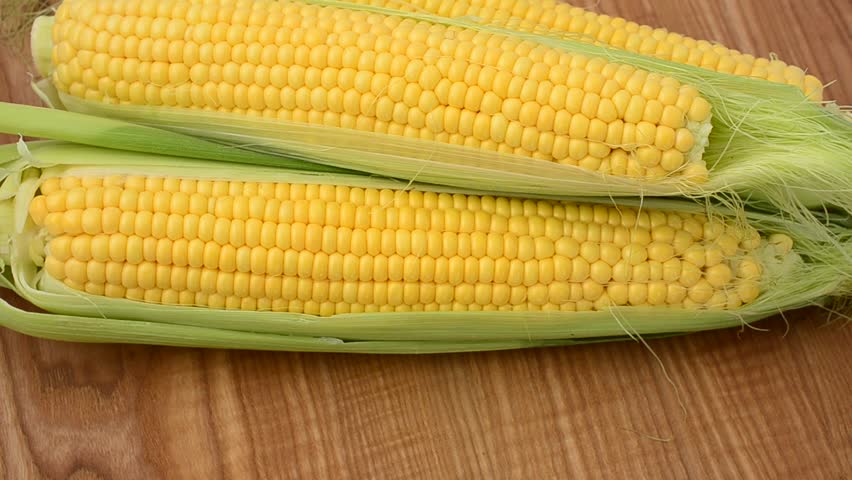 shooting corn Stock Footage Video (100% Royalty-free) 19809838 ...