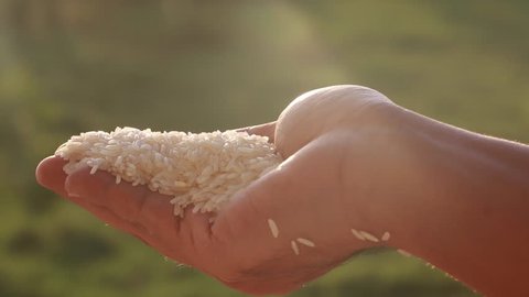 Rice Falling Down Hand Stock Footage Video (100% Royalty-free) 19841710 ...