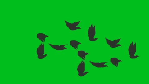 Handdrawn Animation On Green Screen Stock Footage Video (100% Royalty ...